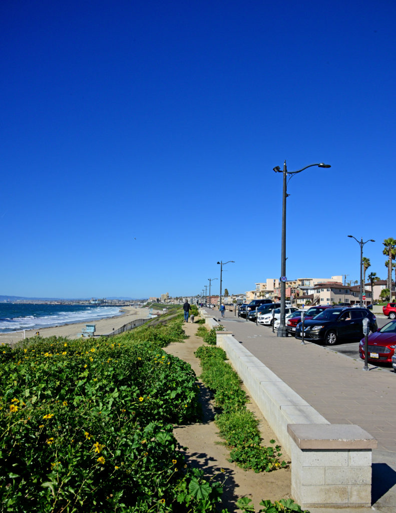 Esplanade Scenery - Keep the Esplanade Beautiful